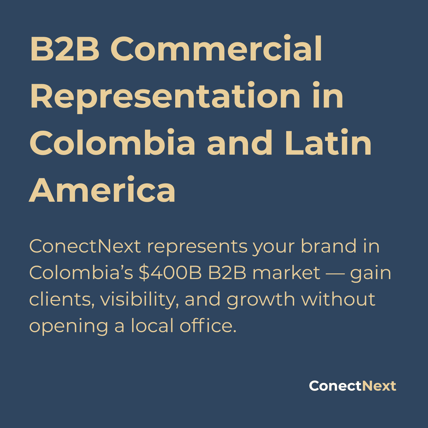 B2B Commercial Representation in Latin America
