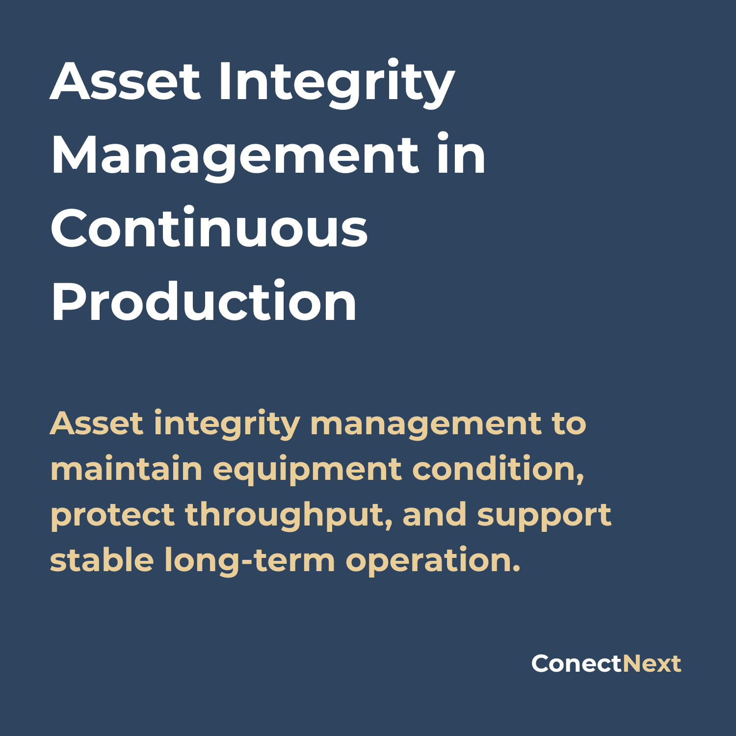 Asset Integrity Management in Continuous Production