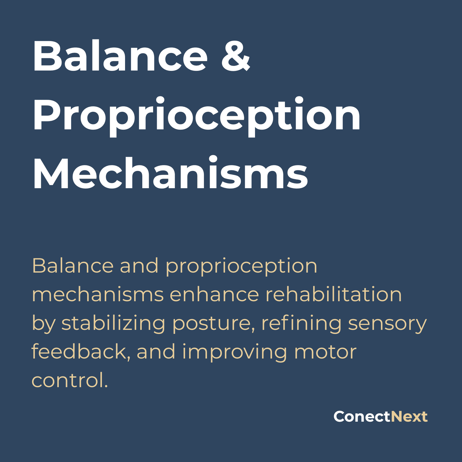Balance & Proprioception Mechanisms | ConectNext